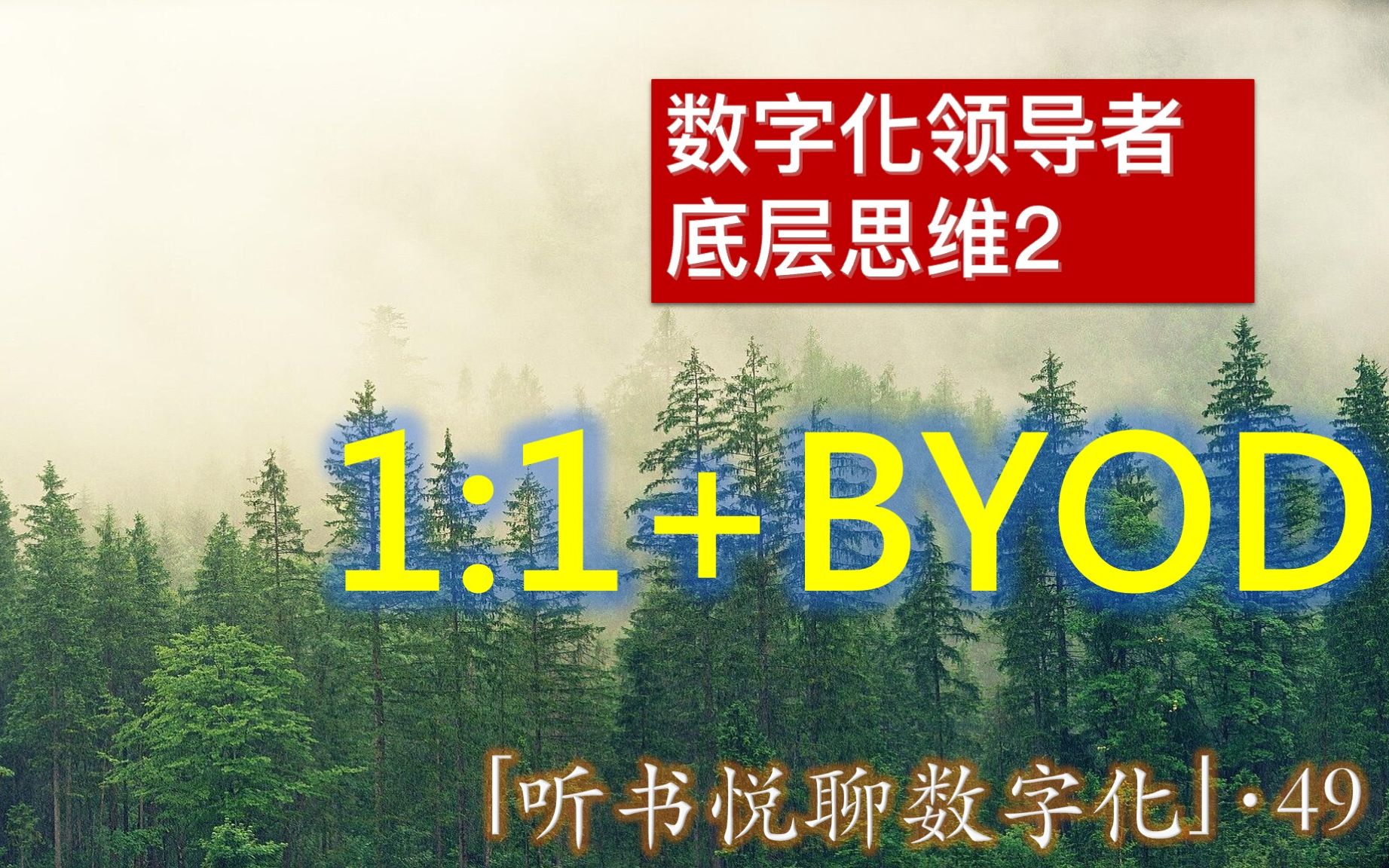 数字设备1:1与BYOD:企业创新的基石——「听书悦聊数字化」第49集