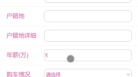 婚介会员管理软件 手机端会员资料录入 资料登记