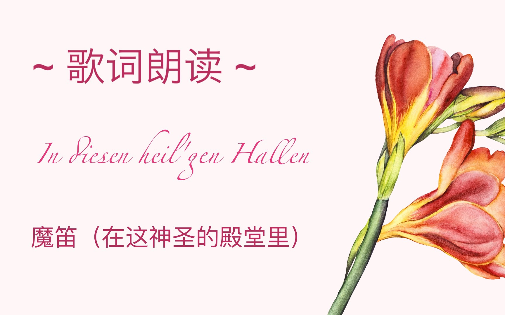 歌词朗读:魔笛(在这神圣的殿堂里) 朗读:Ayna