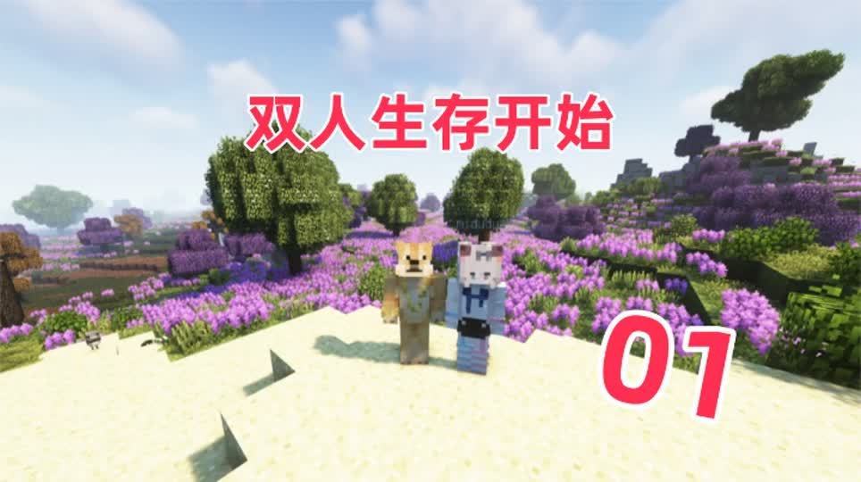 我的世界双人生存:财迷多米为了宝石见死不救 0#游戏