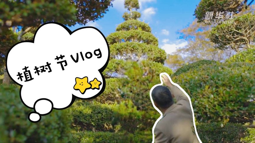 这可能是你见过最“凡尔赛”的植树节VLOG!