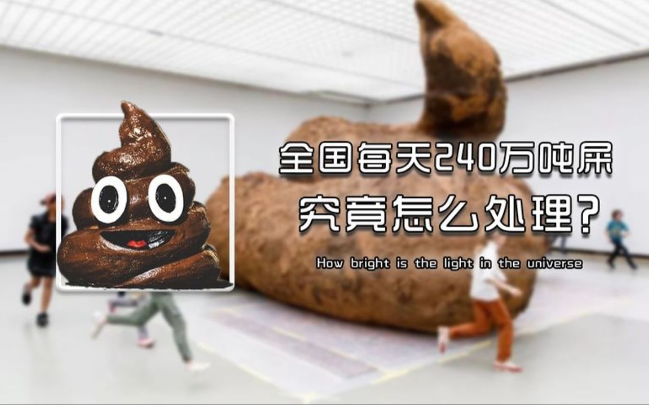 中国人每天产生约240万吨粪便,都排放到哪里去了,该如何处理?