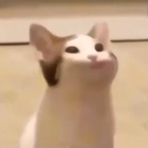 -诸事皆影- 
