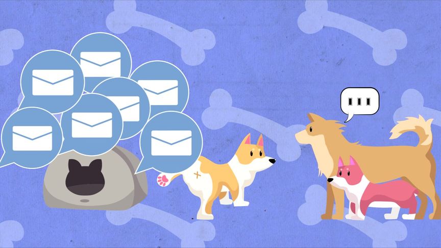 猫小帅问答:狗为什么要抬腿撒尿?因为狗在给朋友做记号