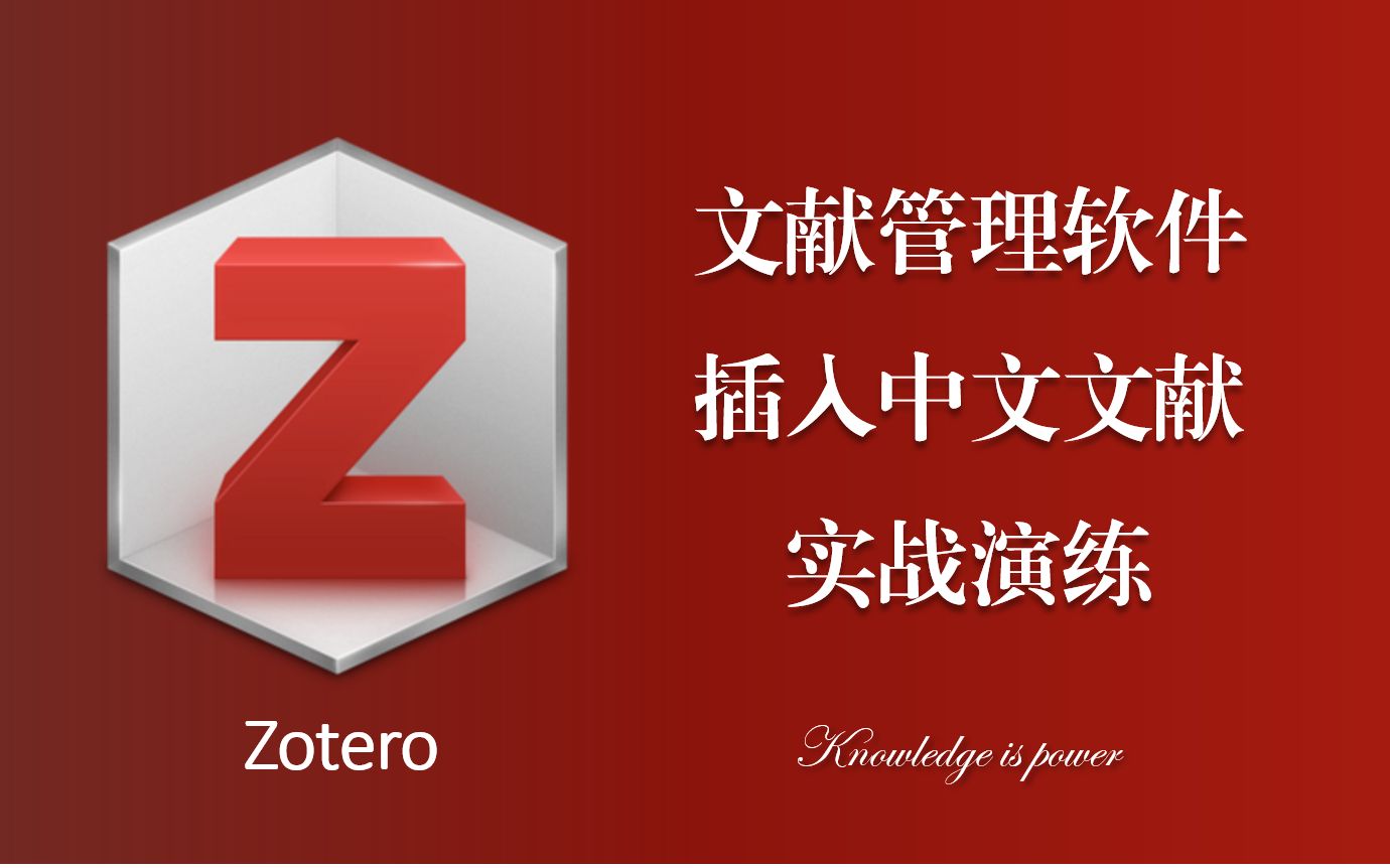 手把手教你Zotero插入中文参考文献