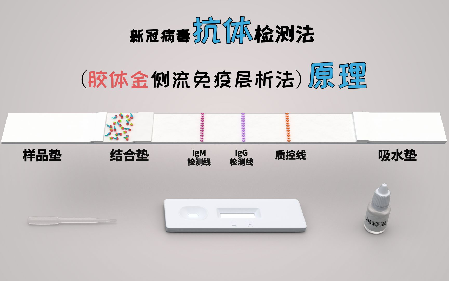 新冠病毒抗体检测(胶体金法)原理