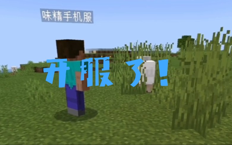 我开了一个我的世界网易手机服!