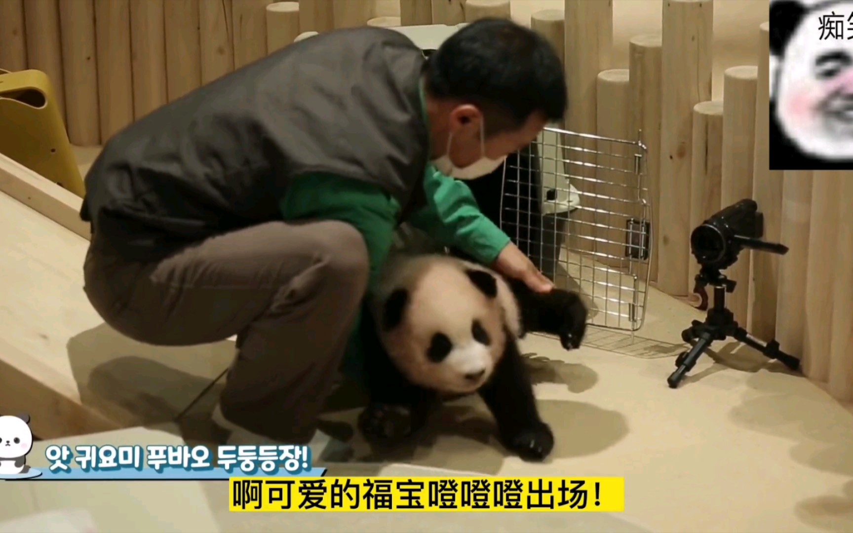 福宝成长记:福宝第一次进游戏房,贼开心,贼活泼～