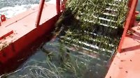 拓新水葫芦打捞船、水上漂浮物打捞船、垃圾打捞船