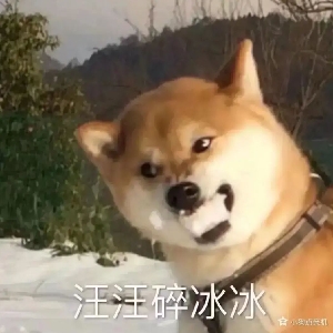 博行星 