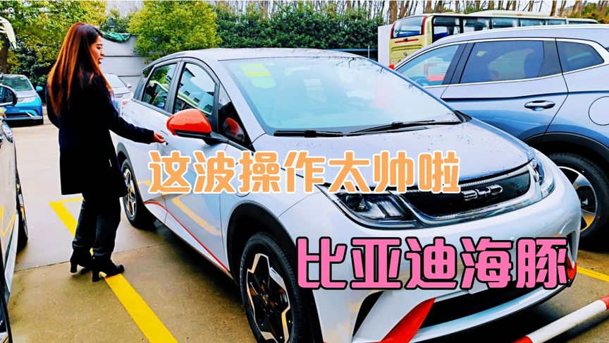 新能源比亚迪海豚车还有这样的功能,老公这波操作太帅啦!