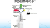 物理吸附过程解析