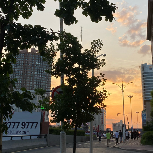 没有故事的小徐同学 