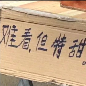 田不苦_9909 