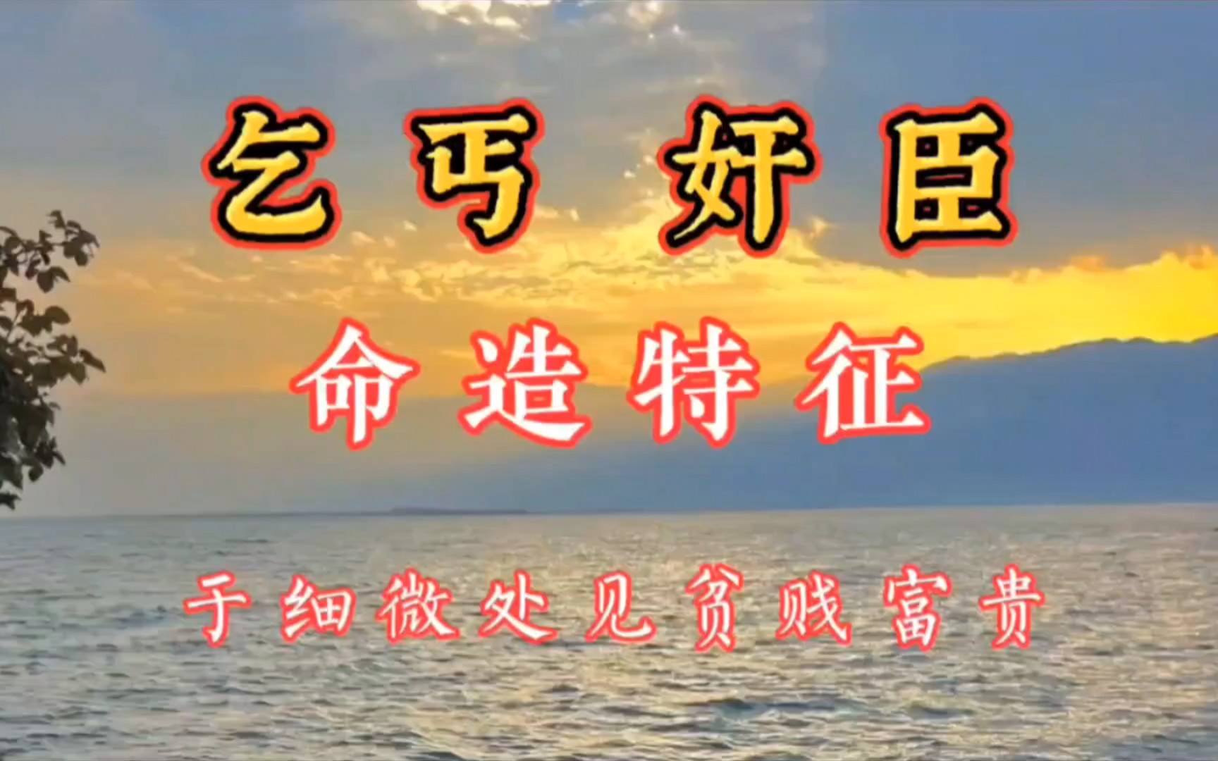 八字命理:案例分析乞丐的生辰八字特征和奸臣的四柱格局特点。什么...
