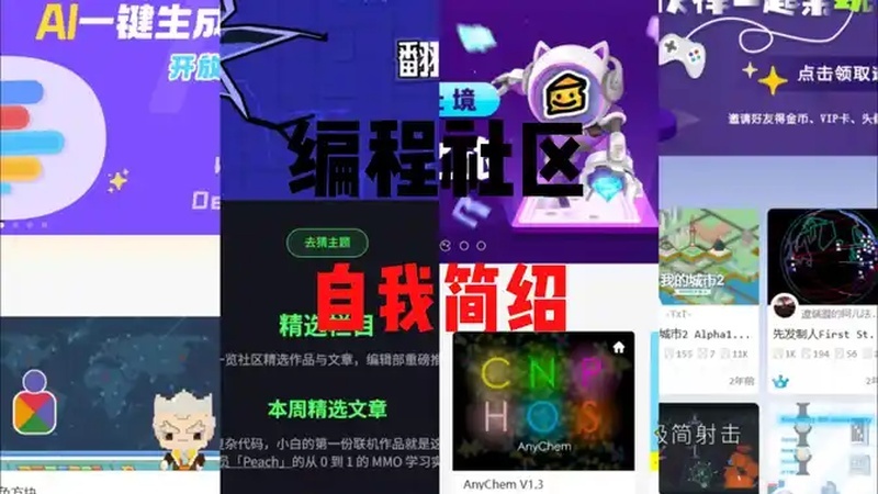 编程社区自我简绍