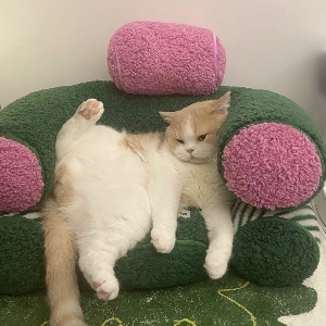 o好多云 