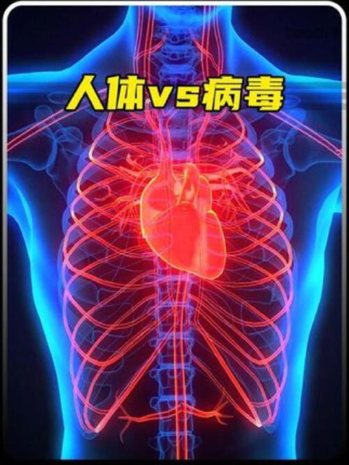 你知道你的身体有多强吗?免疫系统VS病毒!