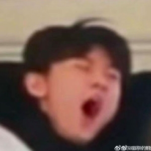 LLikpuppy_77 