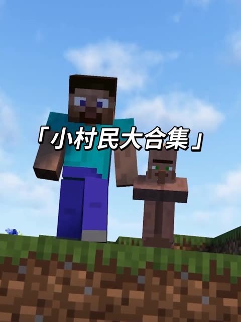 一次看够系列 #我的世界