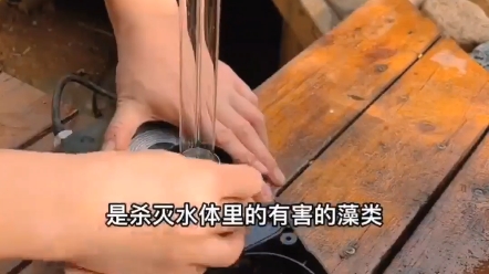 庭院假山鱼池怎么做生态水?当有人质疑鱼池过滤器水处理户外锦鲤池...