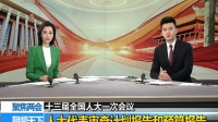 十三届全国人大一次会议 人大代表审查计划报告和预算报告 180308