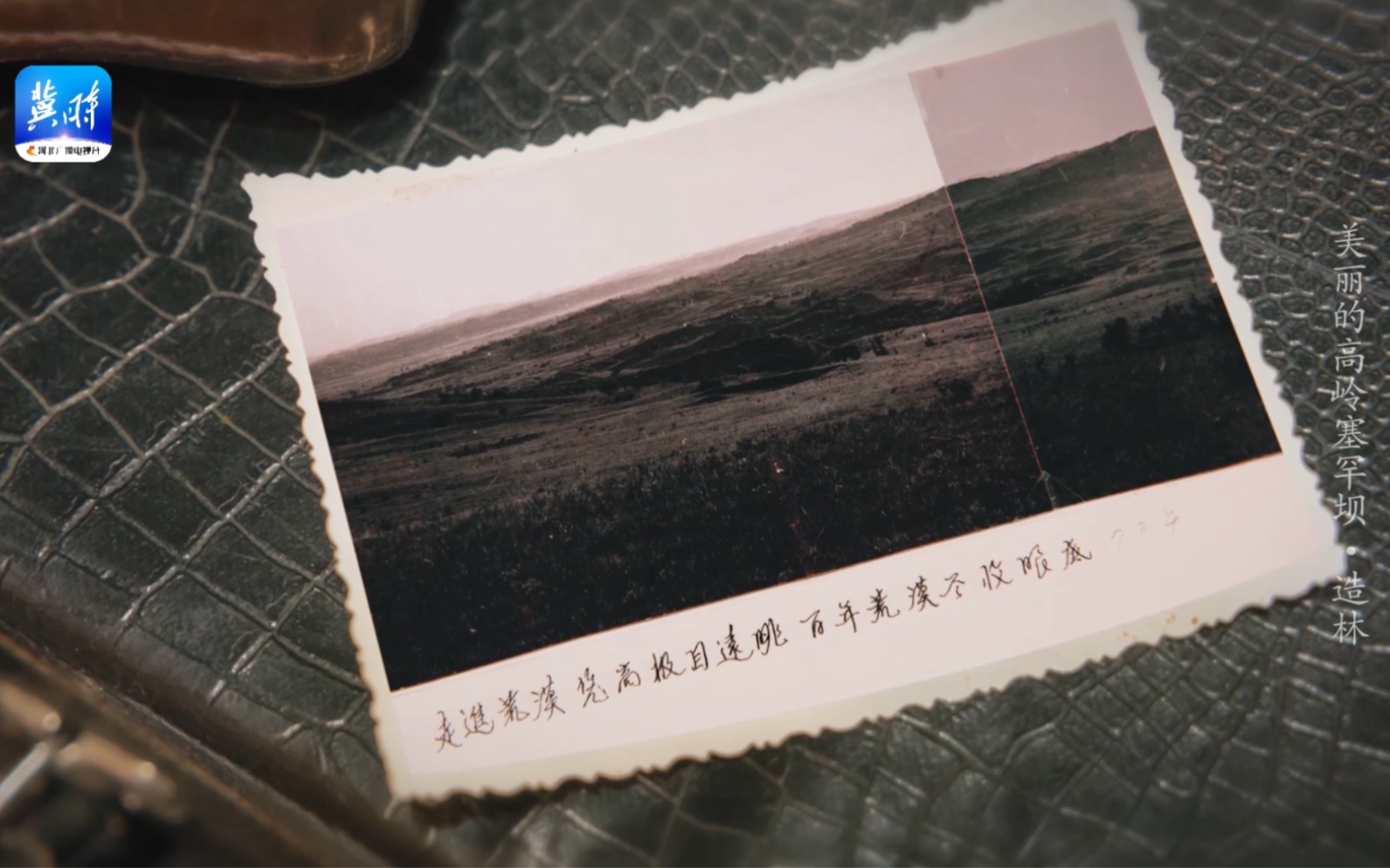 ...年荒漠变绿洲的奇迹,都在一位82岁老人的相机里 #美丽的高岭塞罕坝 ...