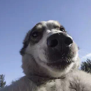 skiiii7777 