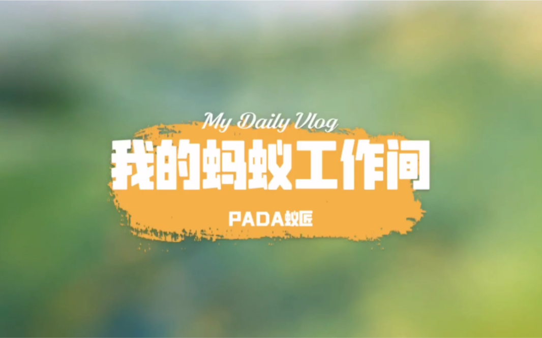 PADA蚁匠特辑-我的蚂蚁工作间全面介绍