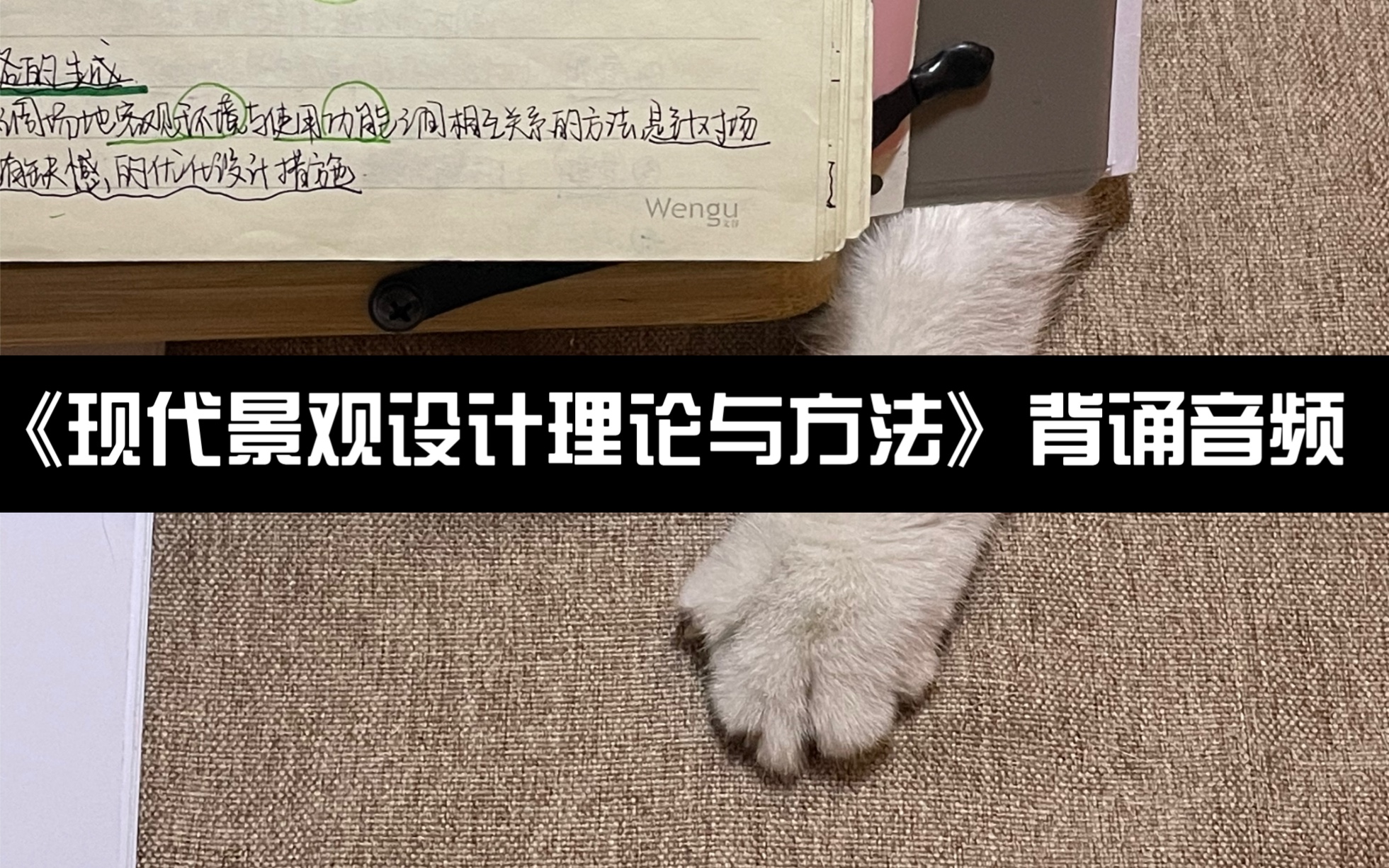 【风景园林】《现代景观设计理论与方法》背诵音频|自用