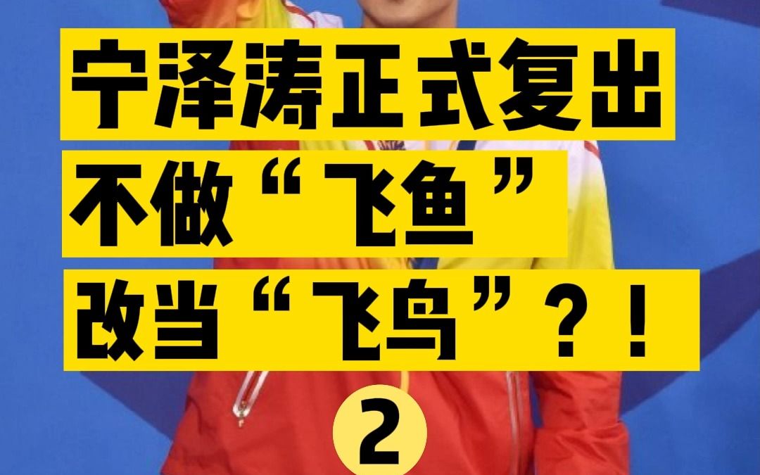 宁泽涛正式复出,不做“飞鱼”,改当“飞鸟”?!(2)
