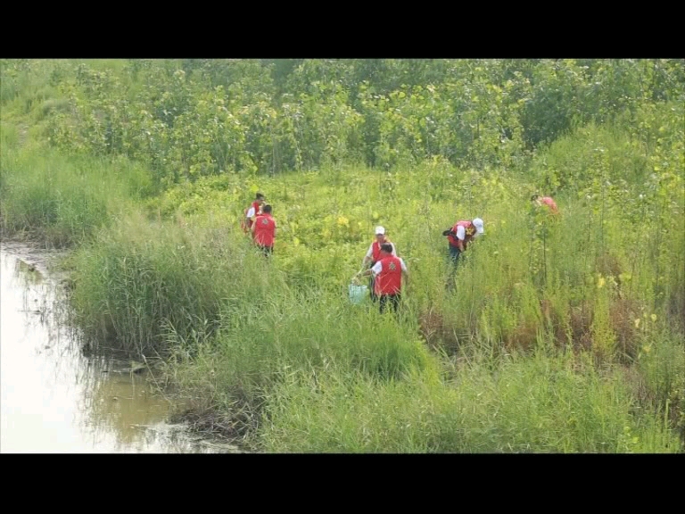 连云港清洁海岸志愿服务中心宣传片