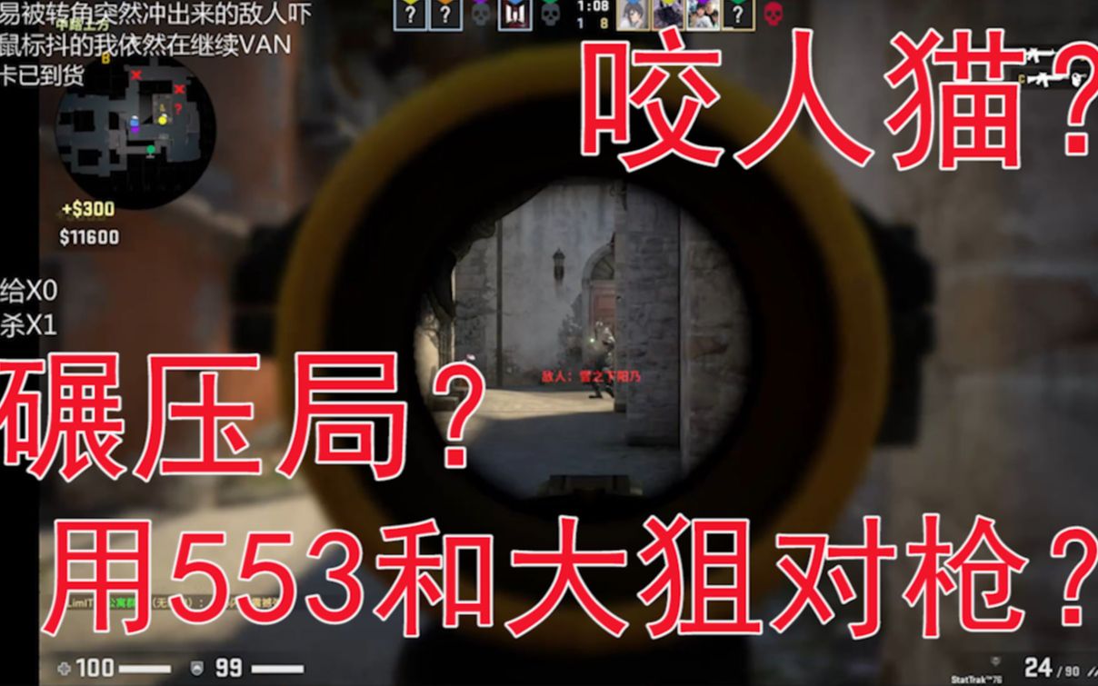 【CSGO】在碾压局和队友聊起二次元,还提到了咬人猫?队友居然说是...