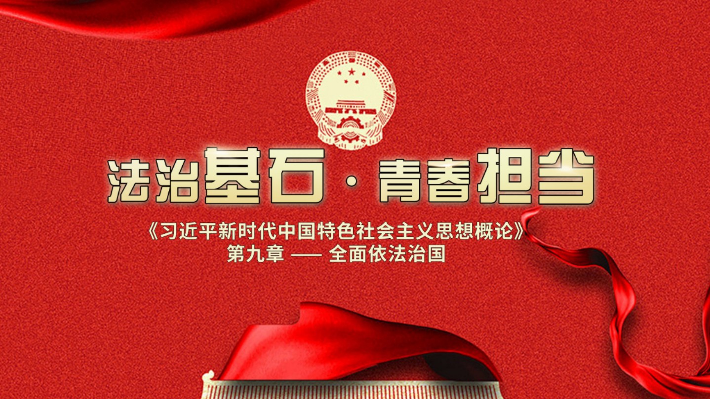 第八届全国高校大学生讲思政课公开课参赛作品——《法治基石·青春...