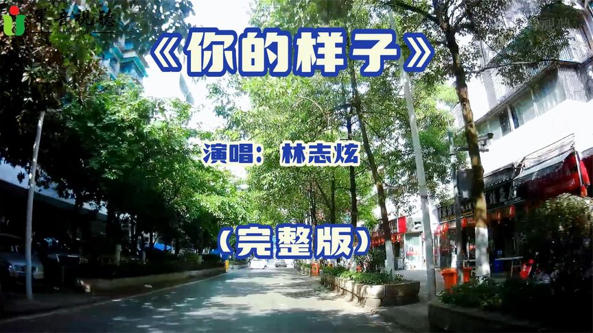 林志炫一首 《你的样子》经典老歌