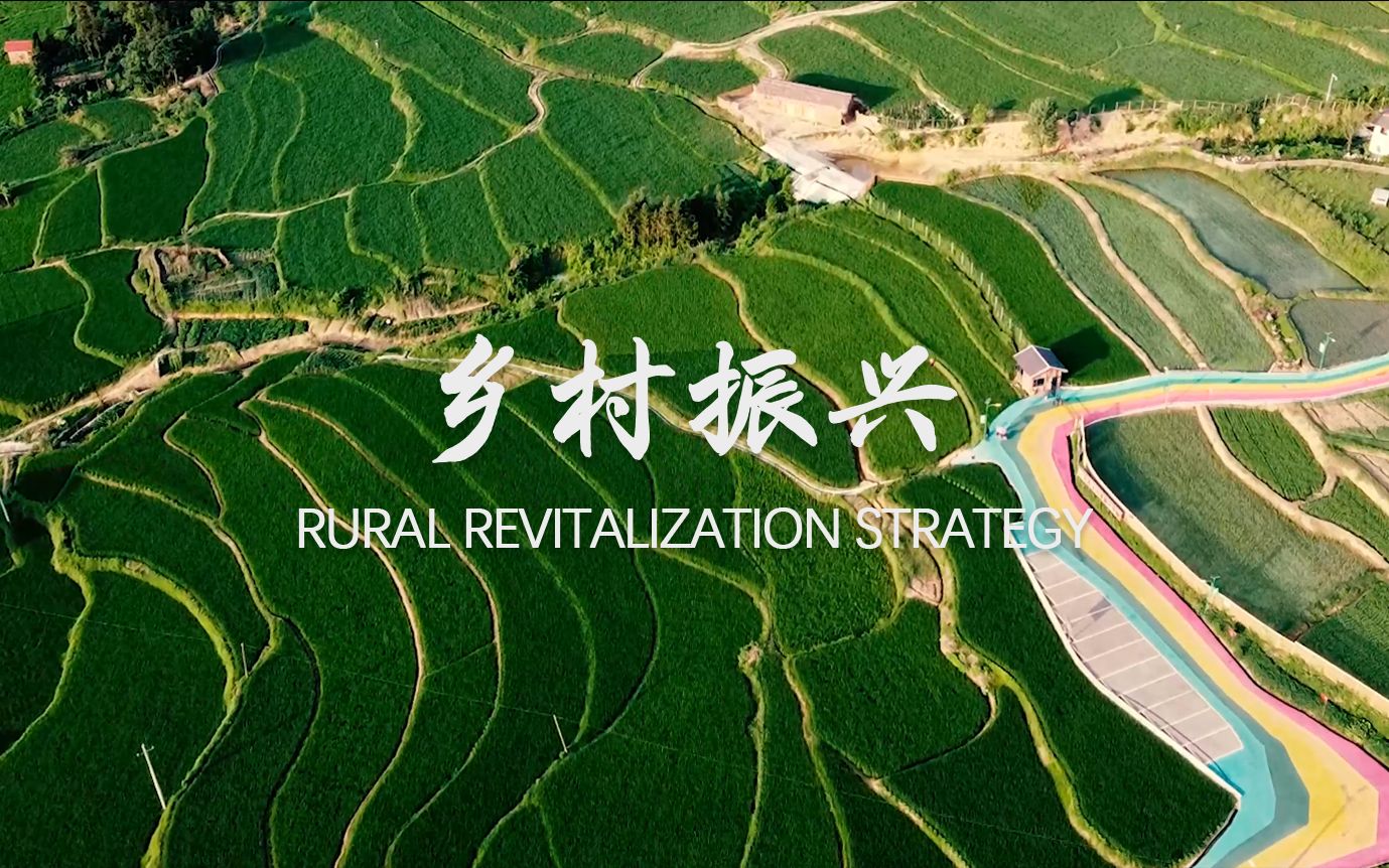 ...“红色乡村振兴路,鼓足‘赣’劲百姓富”——“三下乡”暑期社会...