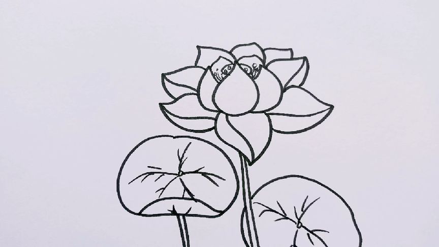 荷花简笔画,跟着我的步骤一起画很简单哦