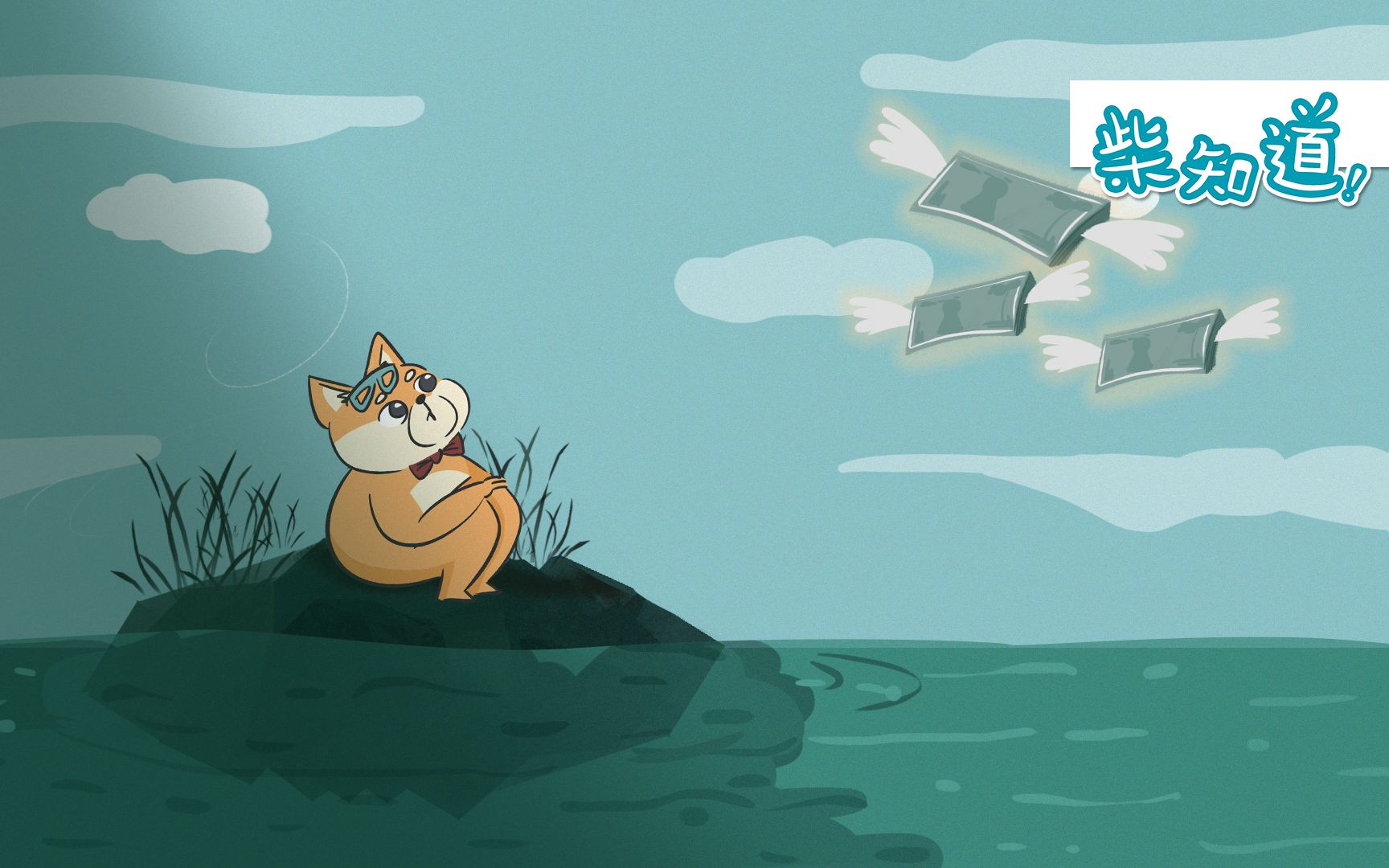 ...风险投资为什么不投柴知道?“资本的力量”背后究竟是什么逻辑?