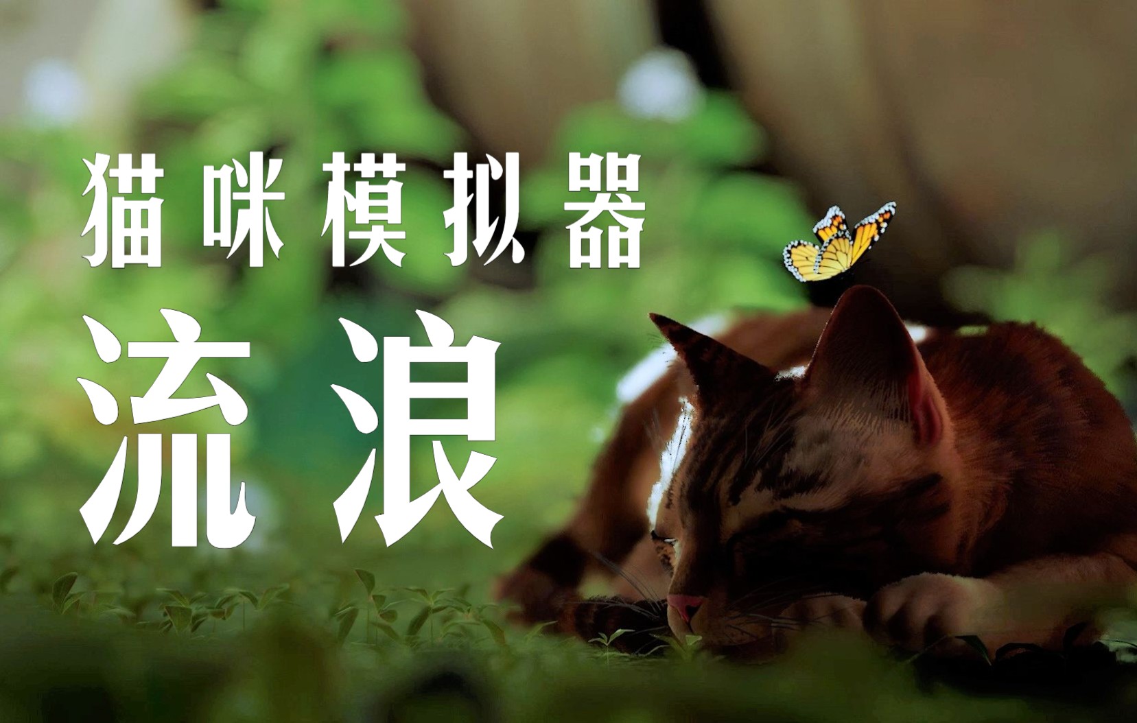 【Stray】流浪 猫咪模拟器 误入赛博世界 一个都是机器人的世界