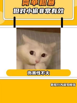 木棍加碘伏,边打边消毒