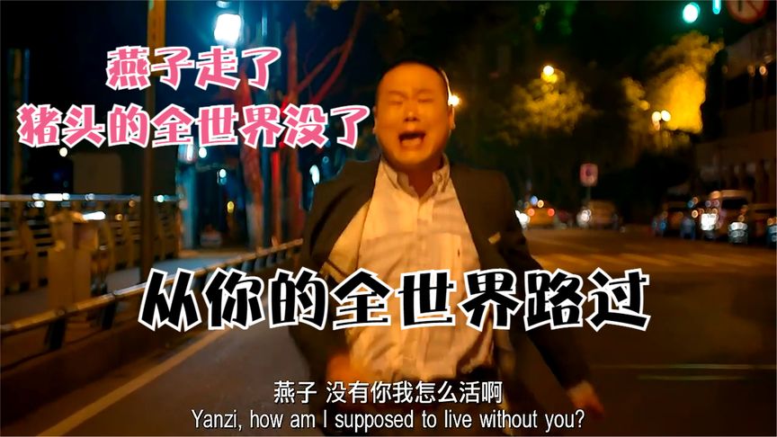 【从你的全世界路过】燕子,你走了我怎么活阿