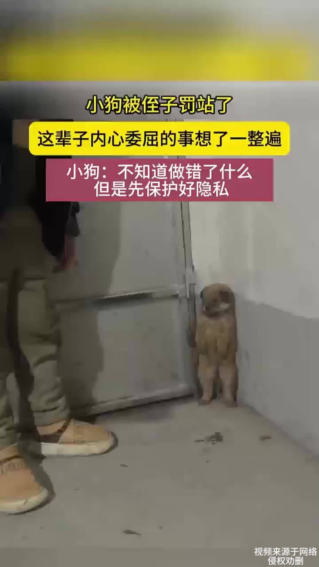 孩子还是知道要保护好隐私