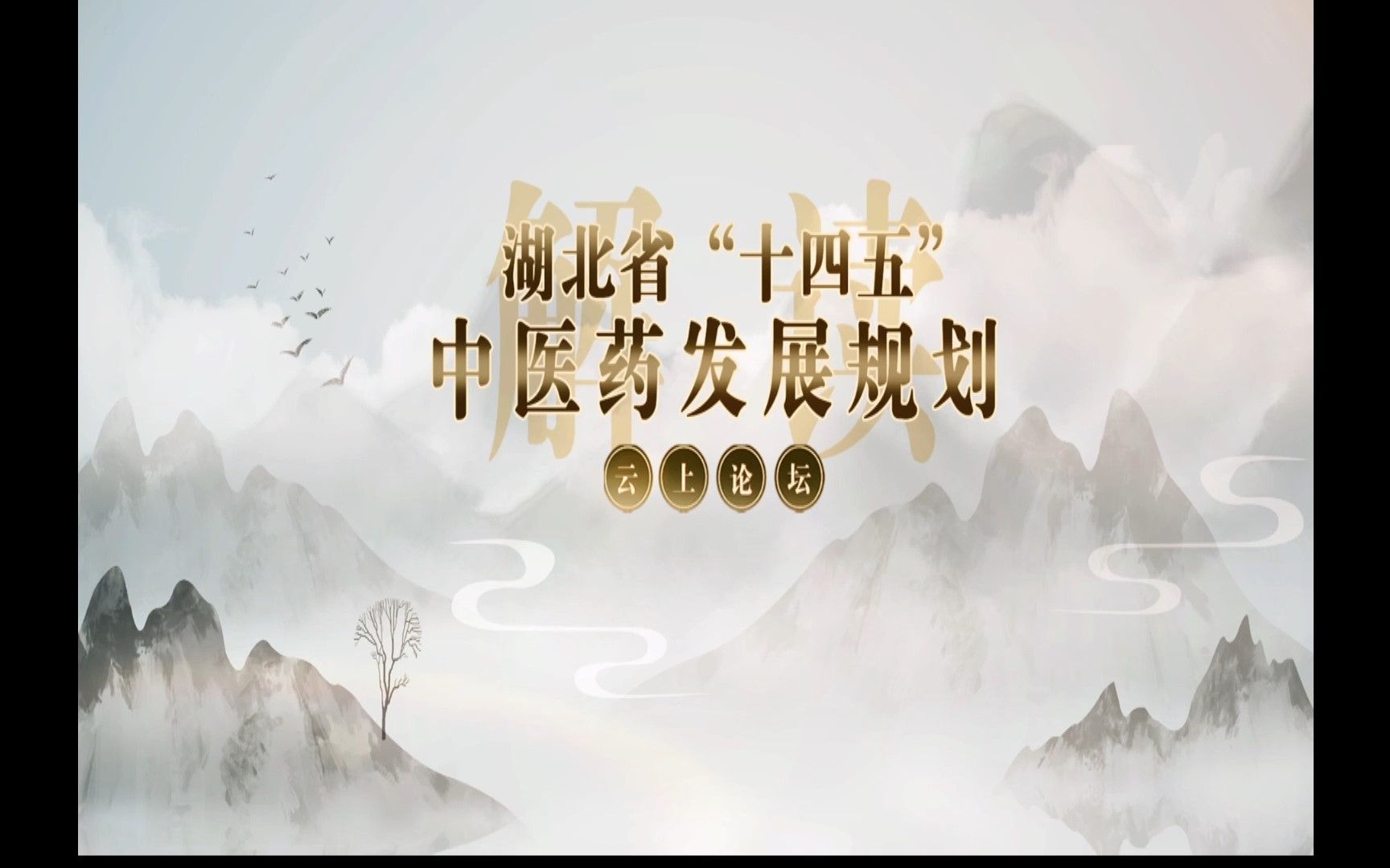 解读《湖北省“十四五”中医药发展规划》云上论坛第二期