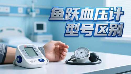 鱼跃血压计型号全解析!教你一眼挑对最适合的那款