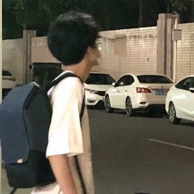 贵宾泰迪目的 