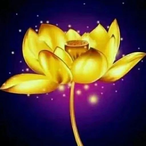 为菩提道求生净土 