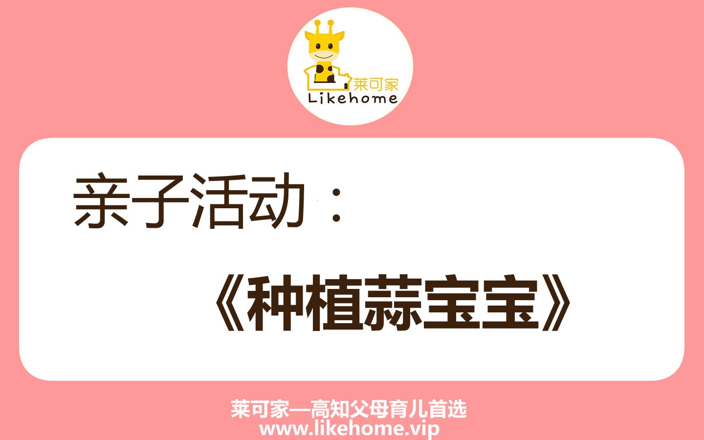 莱可家早教(第72课):亲子活动—种植蒜宝宝