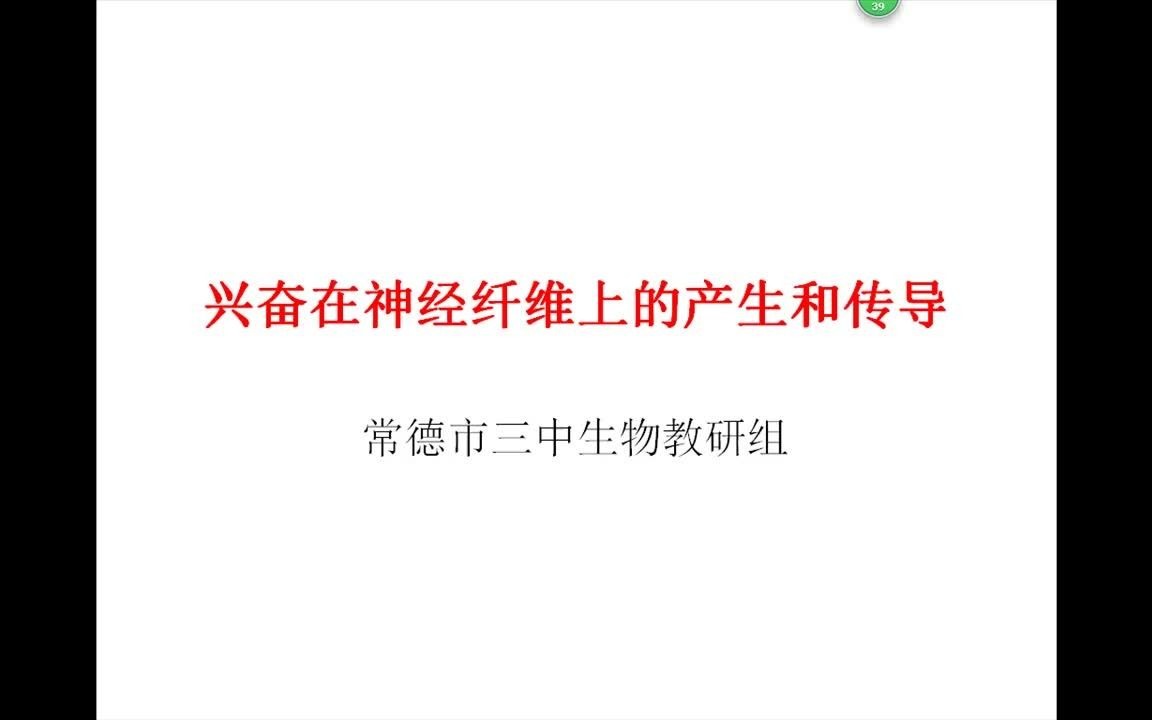 兴奋在神经纤维上的产生与传导