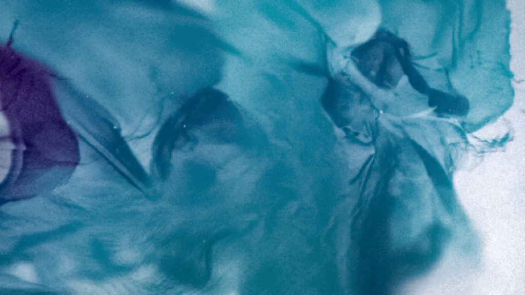 “想要透光的书房和少年的狂”杨宗纬版《我想要》歌词排版