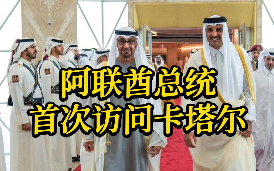 卡塔尔埃米尔会见阿联酋总统